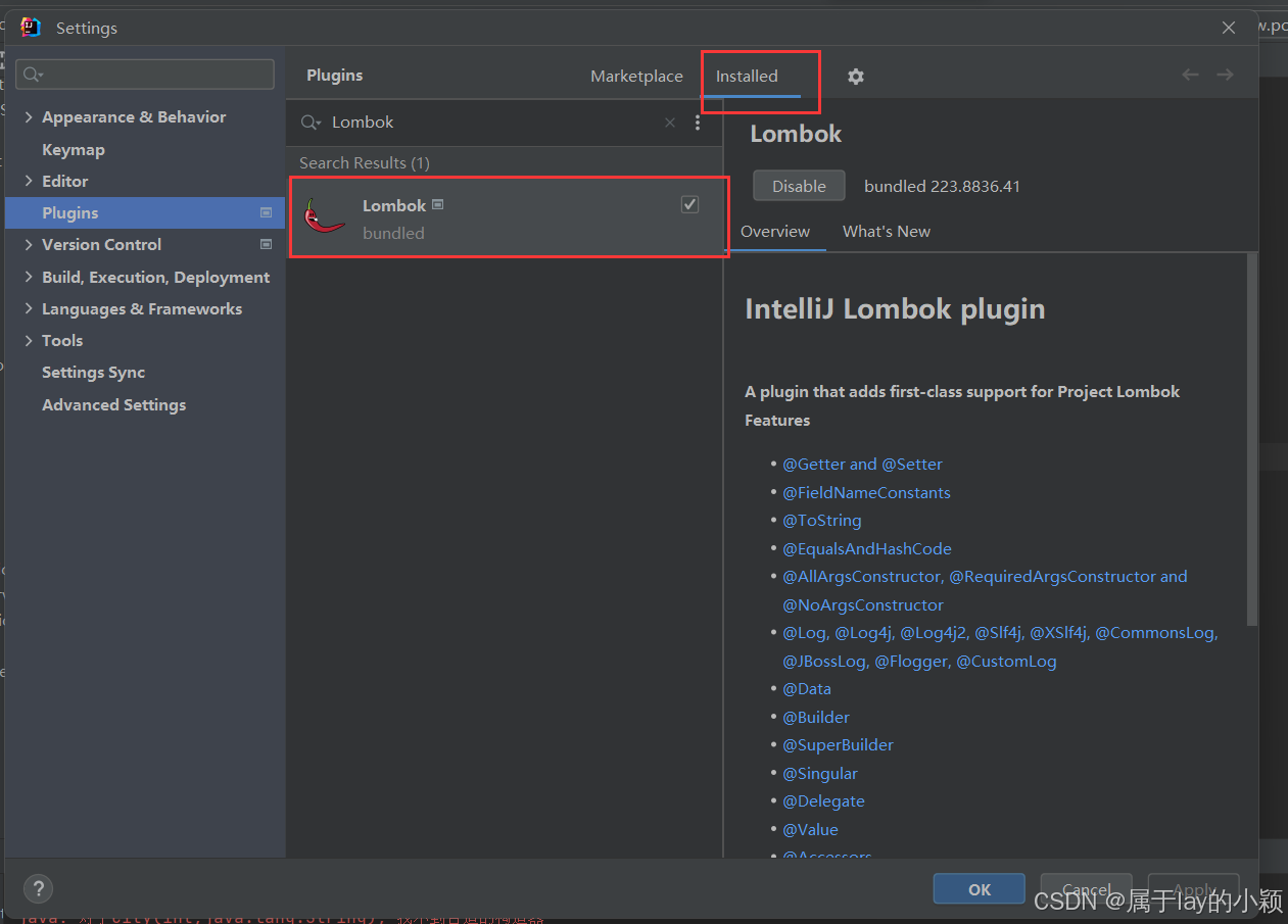 idea如何使用Lombok_idea lombok-CSDN博客