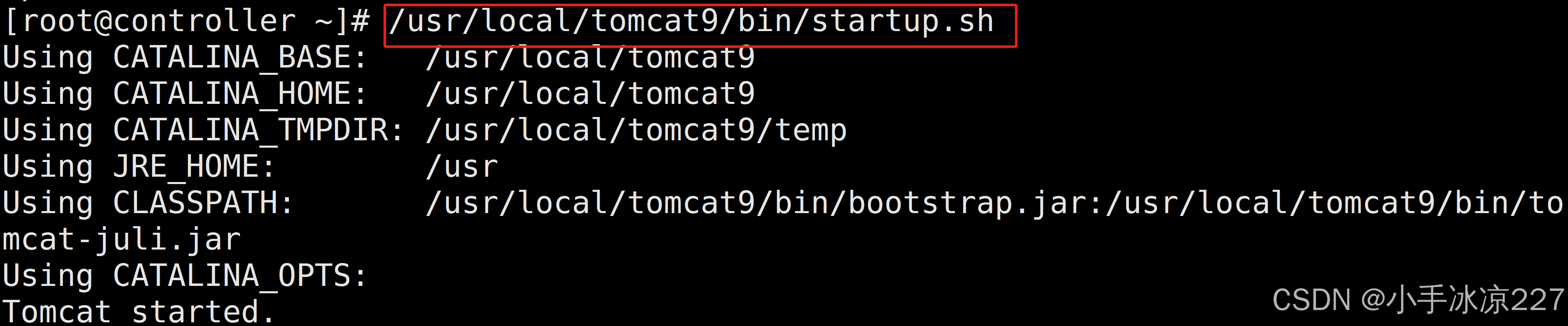 day01(linux基本命令+wget下载+tomcat安装）-CSDN博客