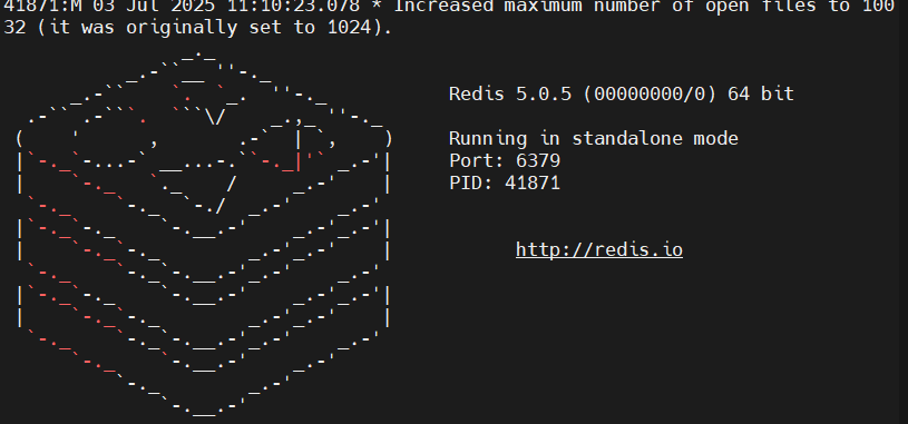 linux搭建redis服务_linux redis 压缩包如何做成服务-CSDN博客