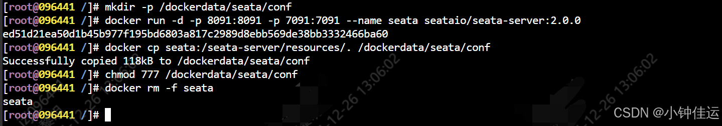 Docker部署Seata_docker 部署seata-CSDN博客