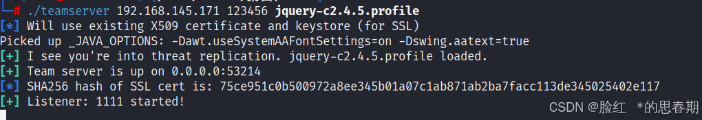 魔改CS—流量特征消除&暗桩去除&个性化修改&Stager修改_cs魔改-CSDN博客