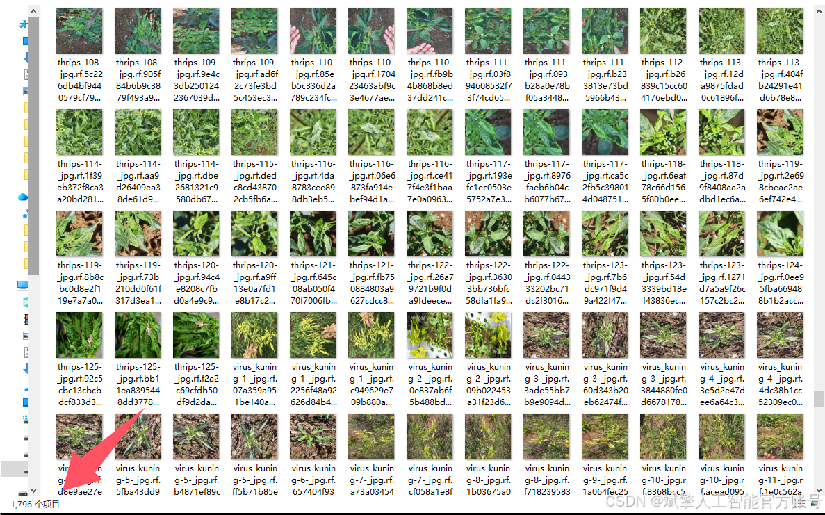 基于深度学习YOLOv12的辣椒叶片病害识别检测系统（YOLOv12+YOLO数据集+UI界面+登录注册界面+Python项目源码+模型）-CSDN博客