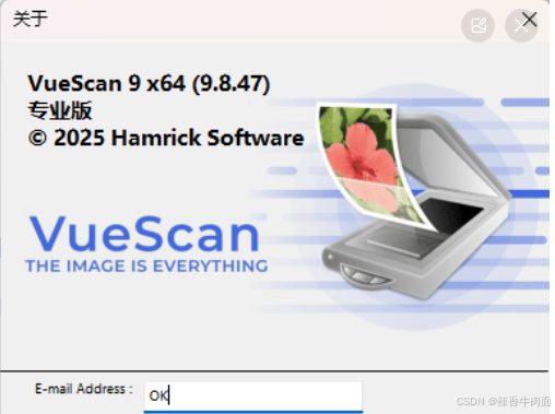 [Windows] Windows 扫描仪增强软件 VueScan Pro 9.8.47 x64 轻松扫描各种文档-CSDN博客