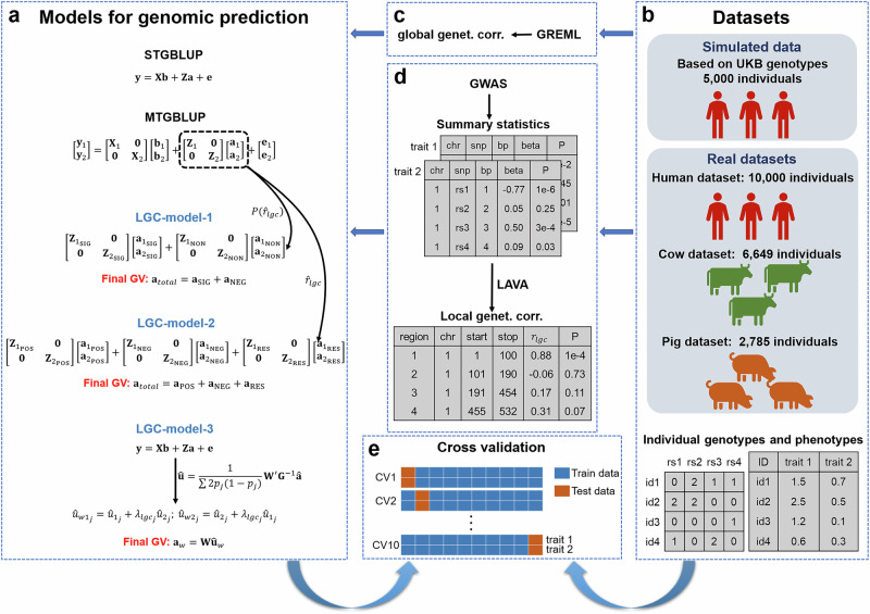 学习 Improving multi-trait genomic prediction by incorporating local genetic correlations （一 ...