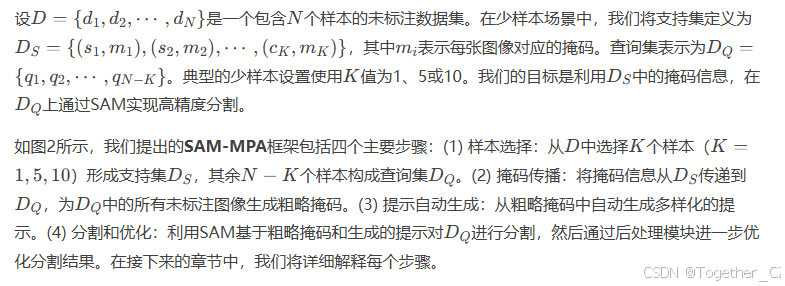 SAM-MPA：通过掩码传播和自动提示将SAM应用于少样本医学图像分割-CSDN博客