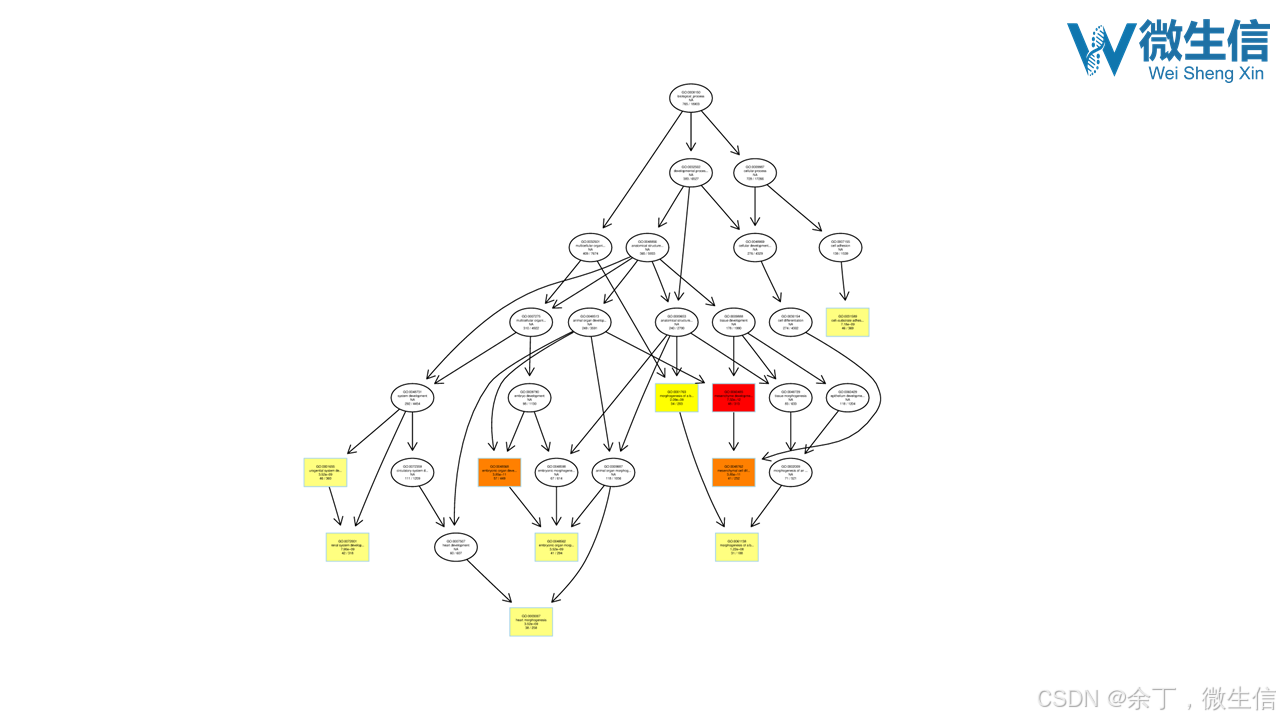 生信入门第十课：Clusterprofiler GO和KEGG富集分析R代码详解_生信go分析和kegg分析代码-CSDN博客