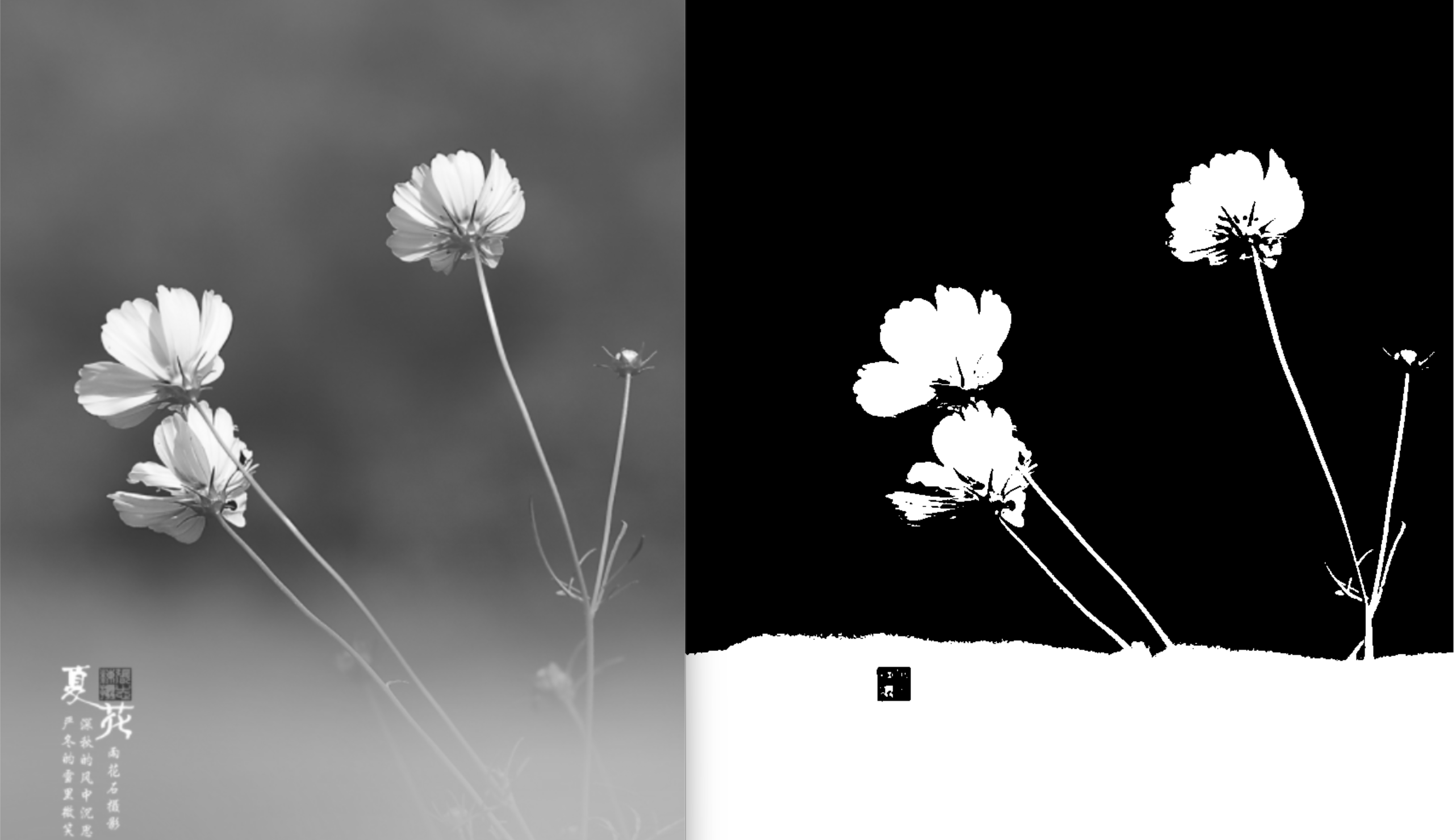 OpenCV （part1）_opencv库-CSDN博客