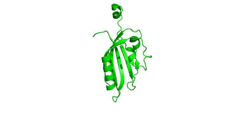 Pymol生成GIF图教程（蛋白旋转展示）_pymol 导出动画-CSDN博客