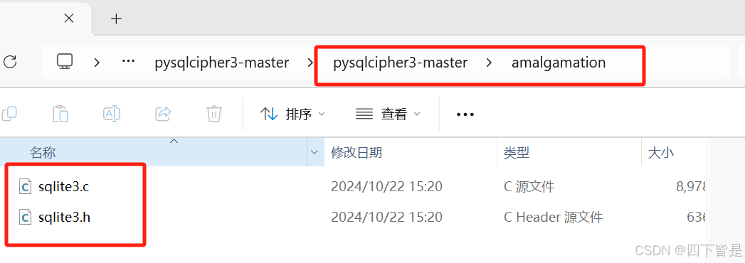 在windows11安装pysqlcipher3,对sqlite3数据库进行加密 Sqlcipher安装 Csdn博客