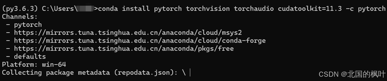 pytorch安装时报错找不到满足要求的版本：No matching distribution found for torch-CSDN博客