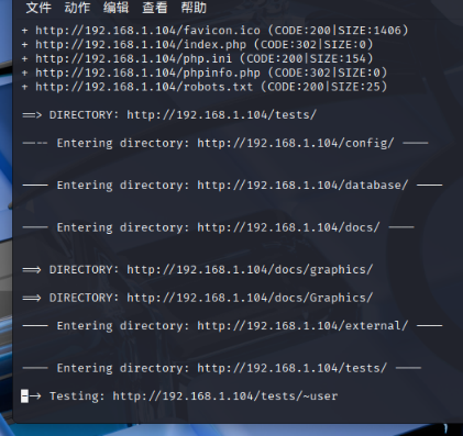 Web目录扫描Dirb使用指南：从安装到使用,超详细_dirb扫描web目录-CSDN博客