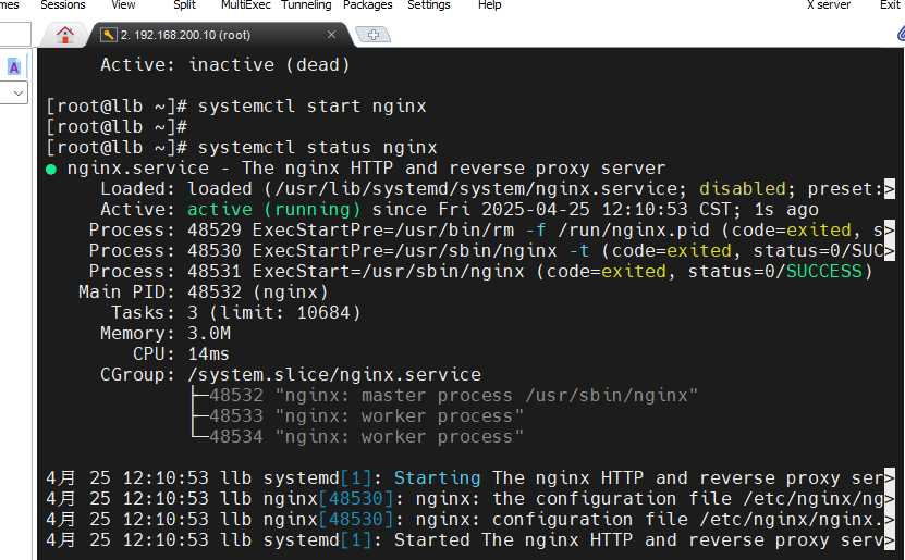 一.配置ssh实现A，B主机互相免密登录 二.配置nginx服务，通过多ip区分多网站-CSDN博客