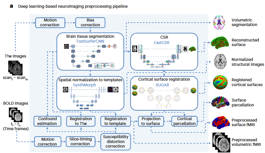 【DeepPrep从入门到入土】第一章 简介与安装(MRI数据预处理,Freesurfer,FSL,AFNI,spm）-CSDN博客
