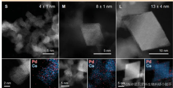 氧化铈CeO2纳米微球30nm|葡聚糖包覆的CeO2纳米颗粒|Pd-CeO2纳米复合材料|硫辛酸（LA）和聚乙二醇（PEG）修饰的 CeO2 ...