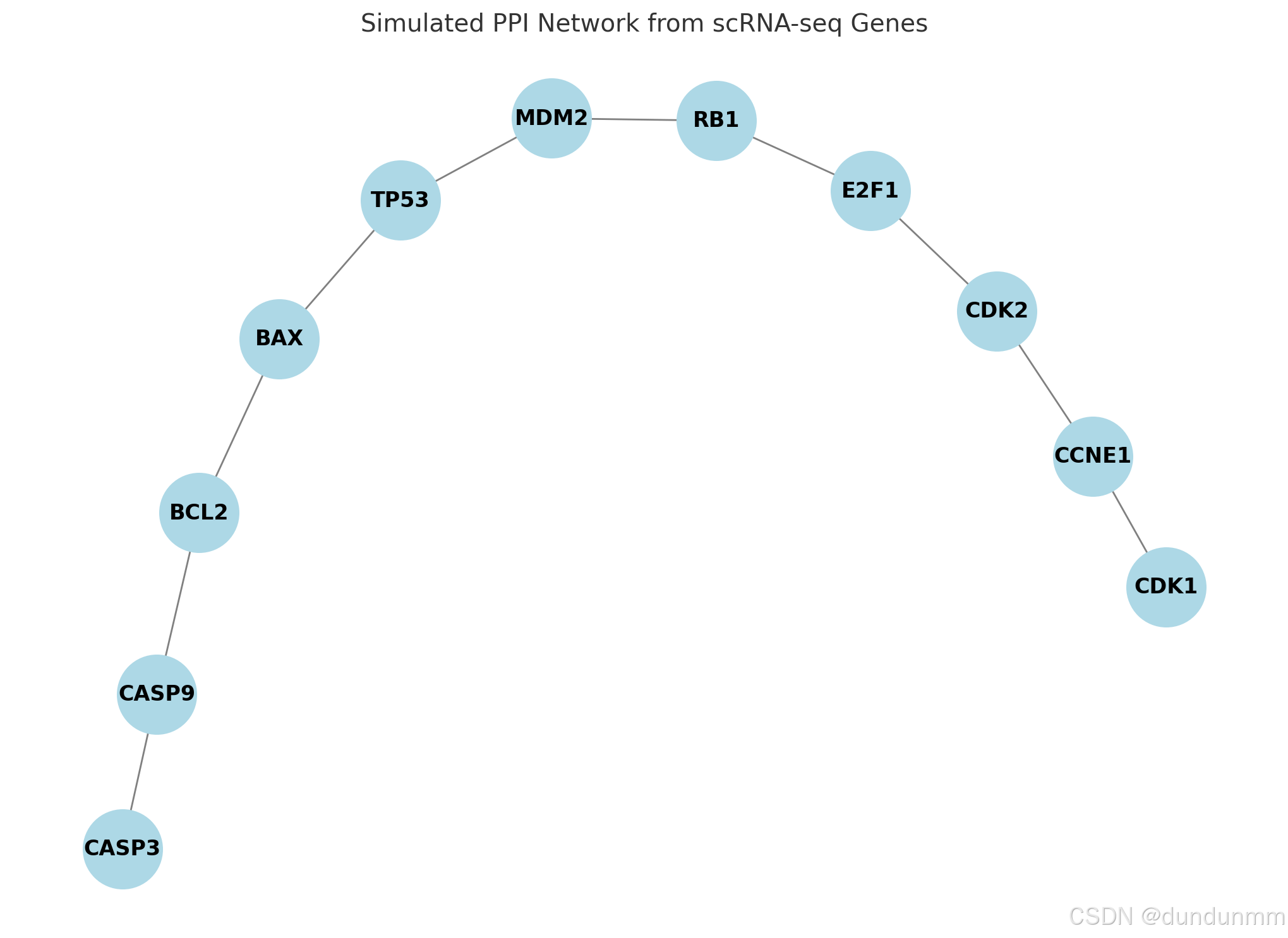 【每天一个知识点】Protein–protein interaction (PPI) _ppi数据库-CSDN博客