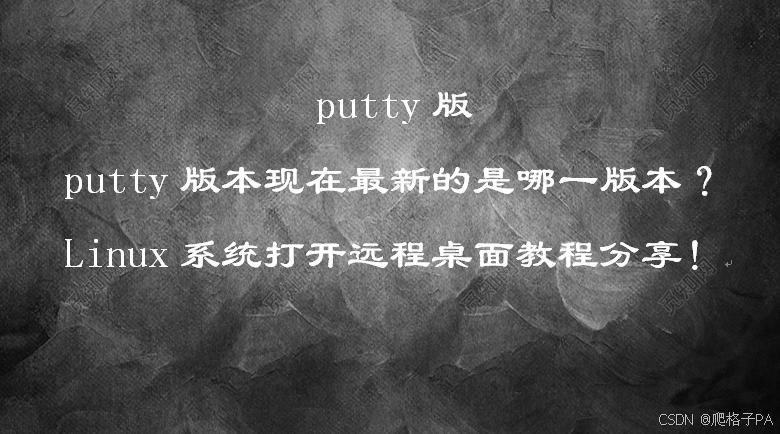 putty版，putty版本现在最新的是哪一版本？Linux系统打开远程桌面教程分享！_putty linux版本-CSDN博客