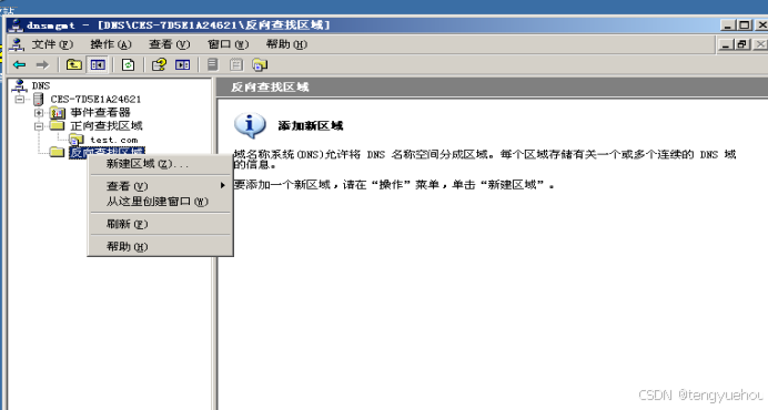 Windows server 2003 Dns（域名解析服务器）搭建过程_server2003配置dns-CSDN博客