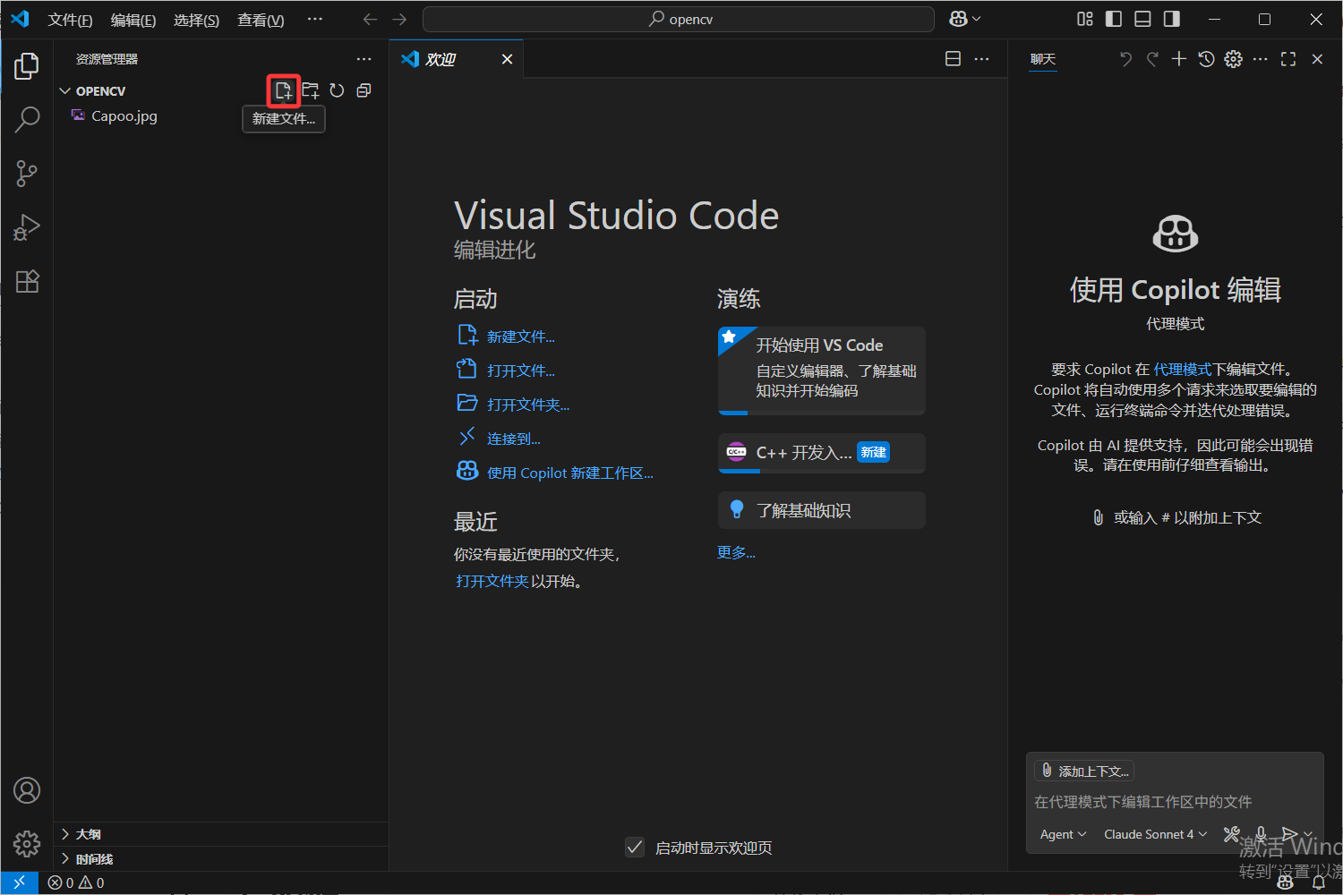 NO1 C++和Python版本的OpenCV环境配置_opencv-python版本-CSDN博客