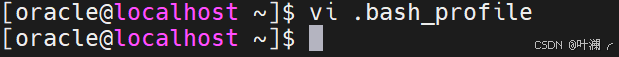 龙蜥Anolis8.9部署Oracle19c_龙蜥8.9安装oracle19c-CSDN博客