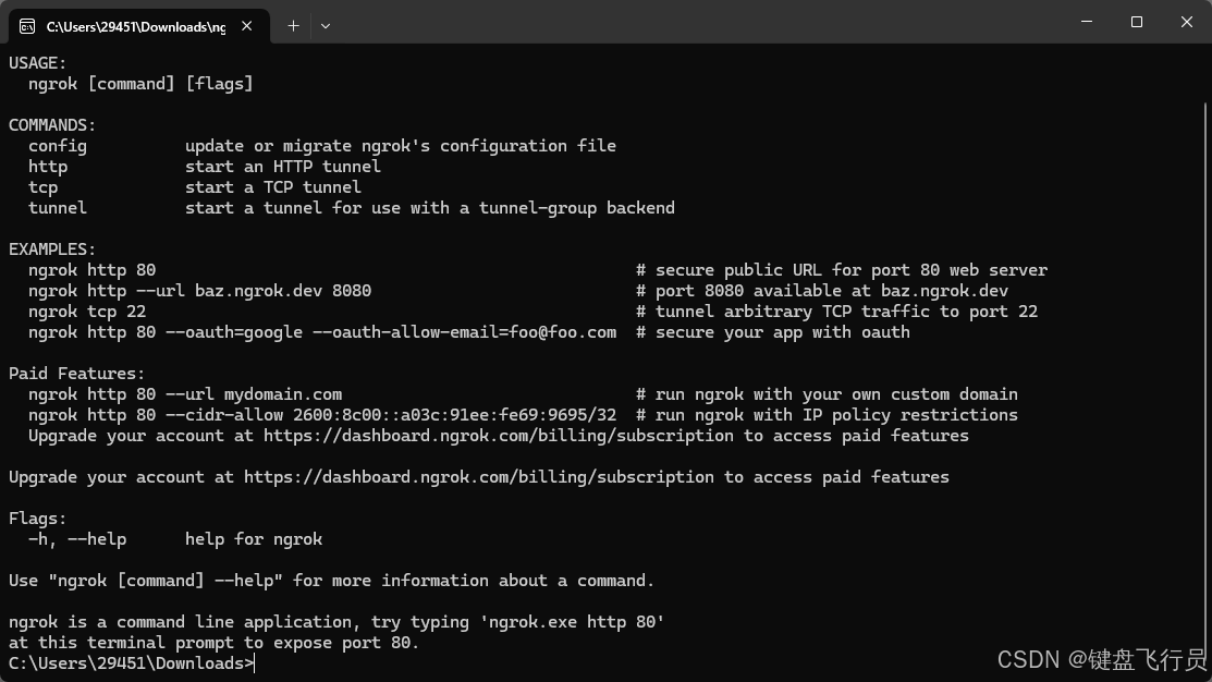 ngrok内网穿透，亲测有效，小白教程！_ngrok-v3-stable-windows-amd64.zip-CSDN博客