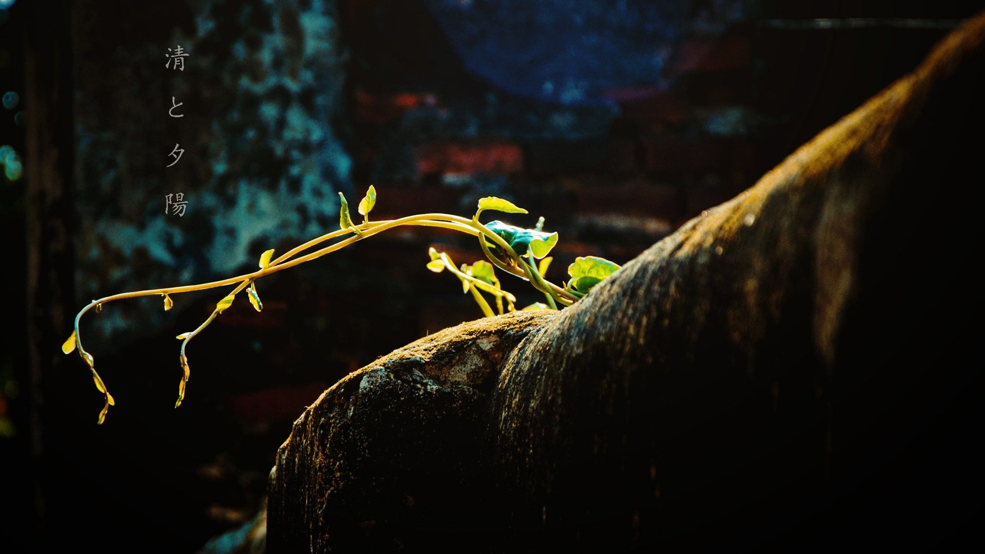 Python科学计算的利器：numpy库快速上手如何快速上手numpy包 Csdn博客