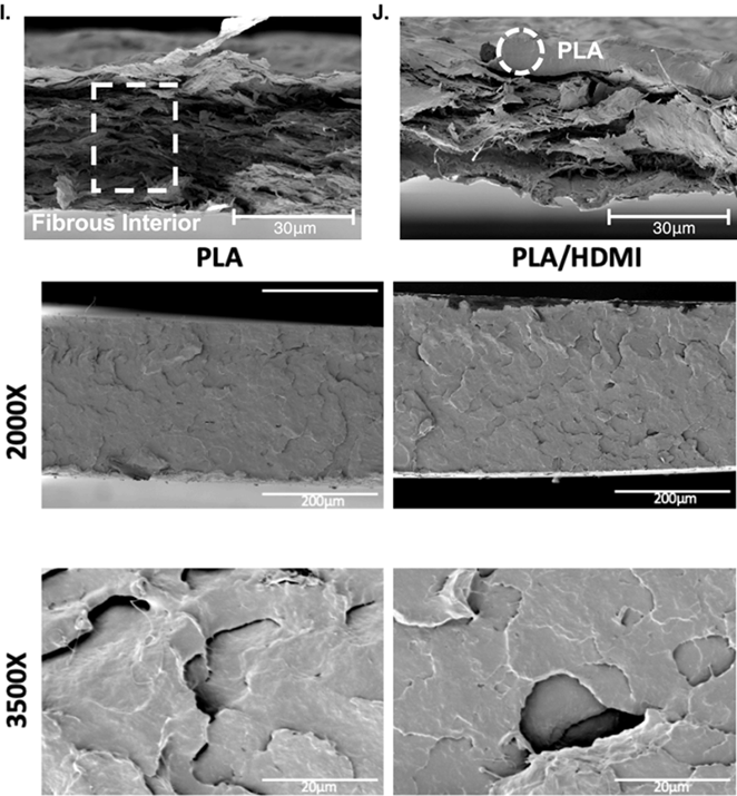 这款“仿叶片”薄膜，5 周就能烂在土里，还比普通塑料结实_pla xrd-CSDN博客