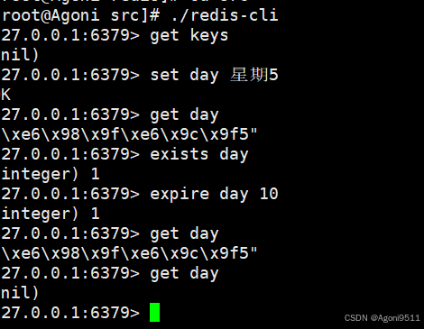REDIS学习_redis下面的src目录时干嘛的-CSDN博客
