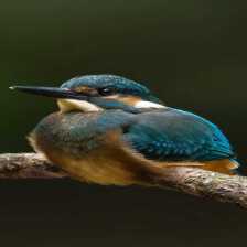 Leetcode每日一练--47-CSDN博客