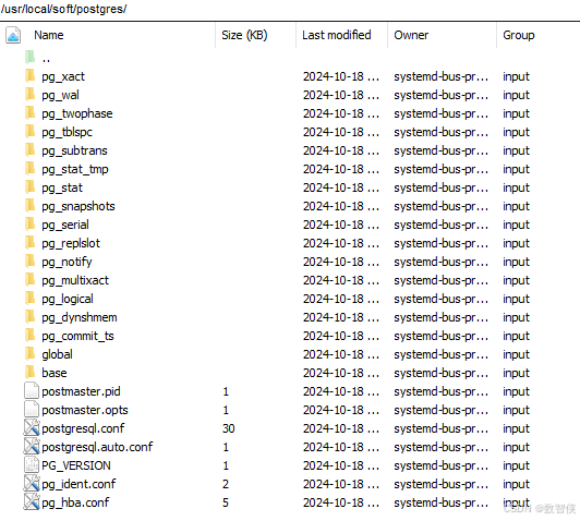 Docker部署Postgres教程_docker pull postgres-CSDN博客