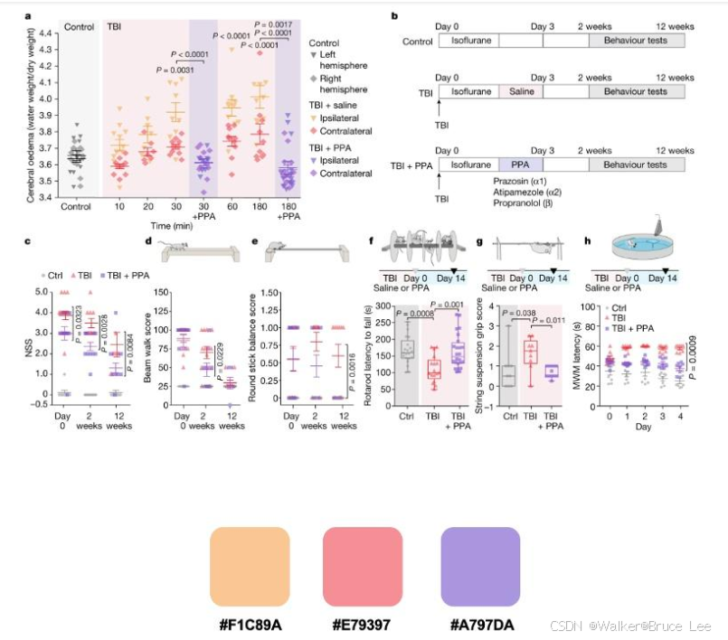 高质量论文配色（直接采用，比较方便）_cns配色-CSDN博客