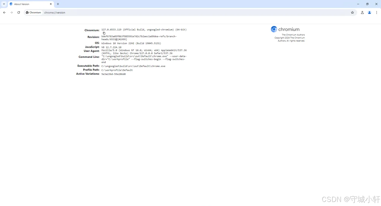 Ungoogled Chromium127编译指南 Windows篇 - 启动与验证（十四）_ungoogled-chromium-CSDN博客