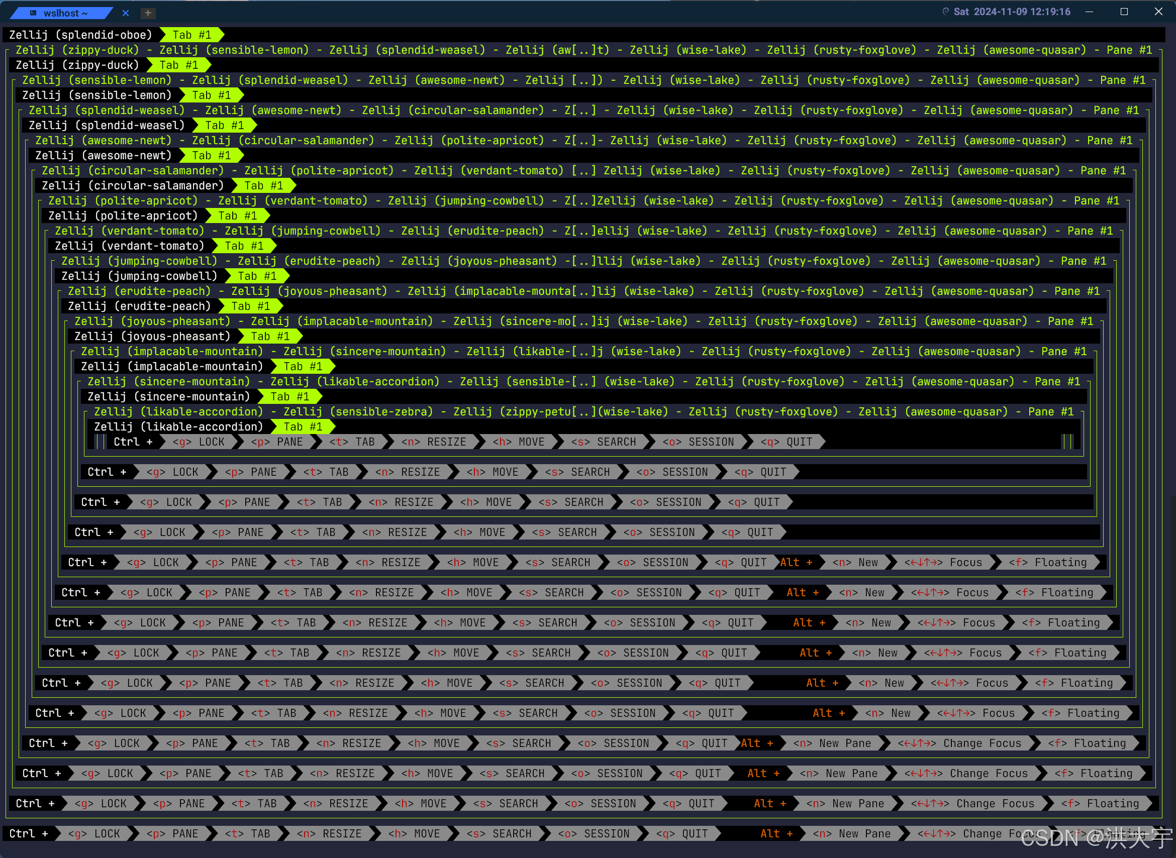 zellij 更好用的终端复用工具_zellij paste-CSDN博客