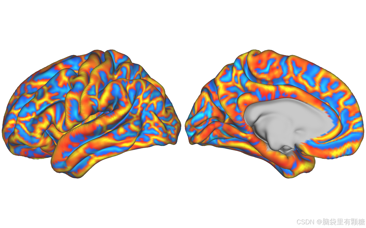 关于fMRIPrep的CIFTI-CSDN博客