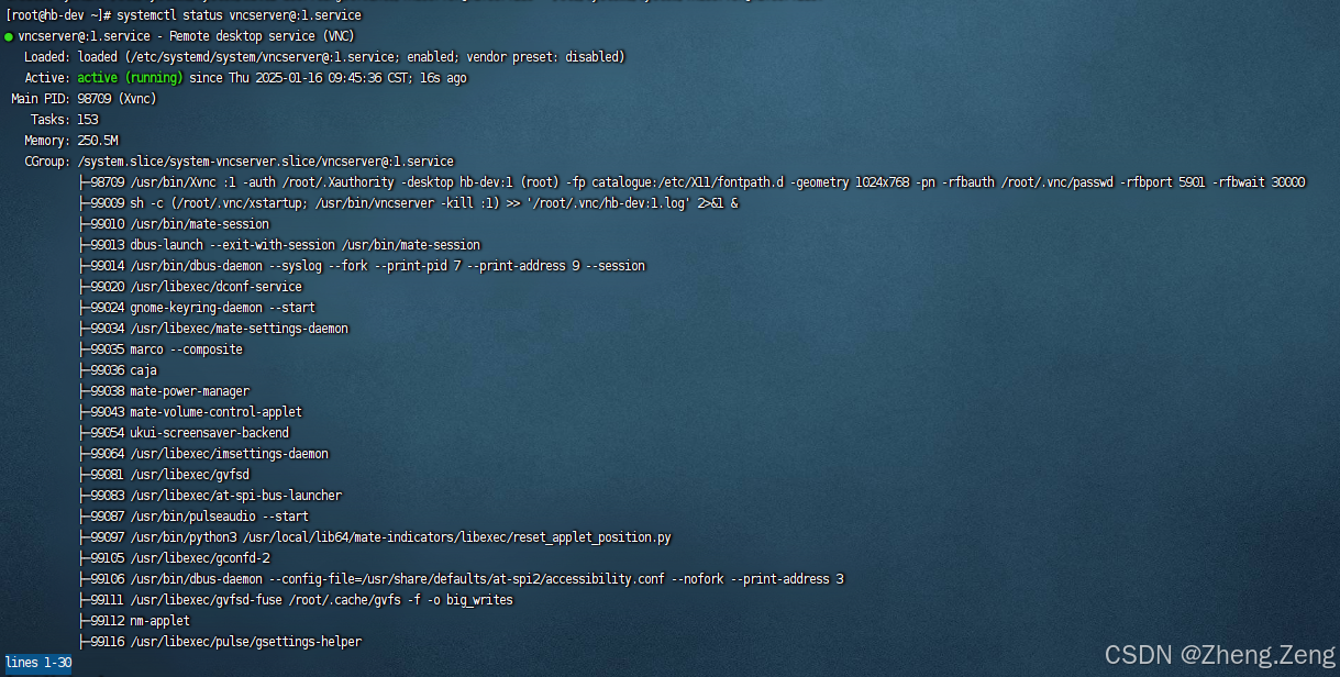 Liunx Kylin（麒麟） V10安装VNC远程桌面工具_麒麟v10安装vnc-CSDN博客