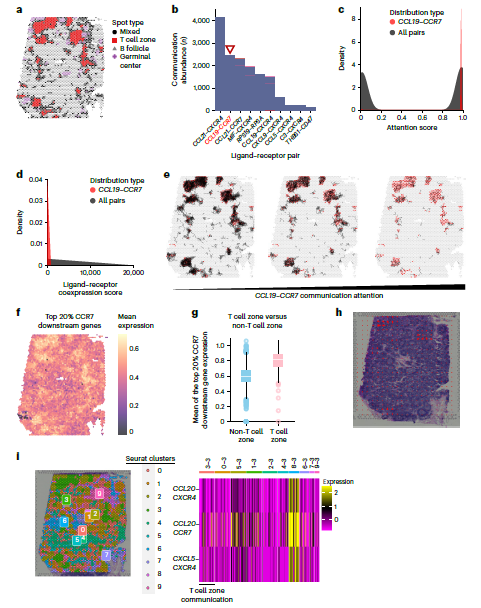 Nature Methods | CellNEST——利用注意力机制解析空间转录组中的细胞间中继网络_cellnest代码-CSDN博客