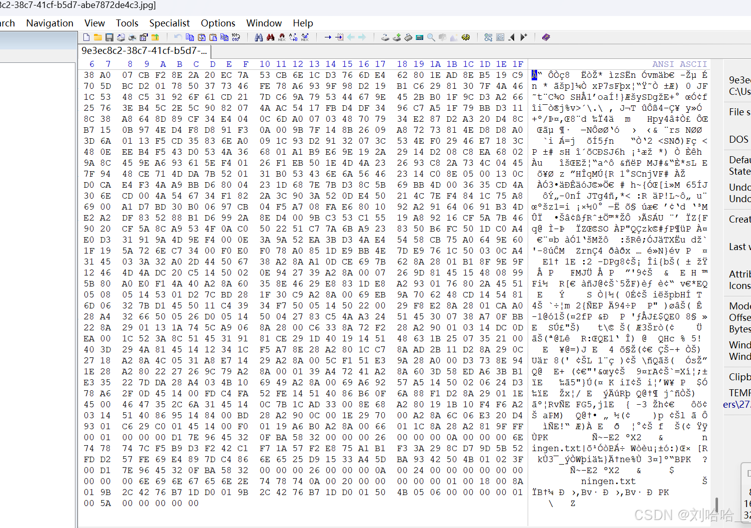 BUUCTF(Misc)——ningen_ningenbuuctf-CSDN博客