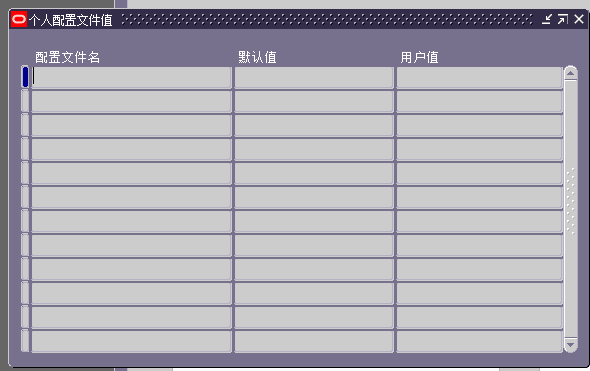 Oracle EBS Form开发——系统/个人配置文件_oracle ebs中查找系统配置文件值在哪里-CSDN博客
