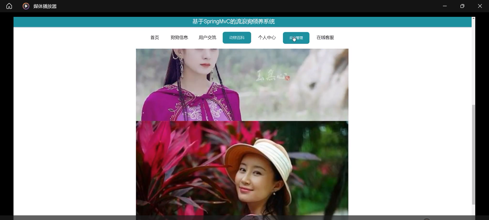 2026毕设ssm+vue基于SpringMvC的流浪狗领养系统论文+程序-CSDN博客