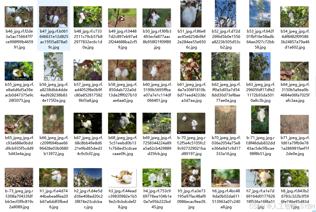基于YOLOv8深度学习的棉花分类检测系统（YOLOv8+YOLO数据集+UI界面+Python项目源码+模型）_棉花目标检测-CSDN博客