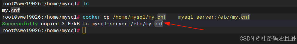 docker命令进入MySQL容器时的报错：ERROR 2002 (HY000): Can‘t connect to local MySQL server through socket ...