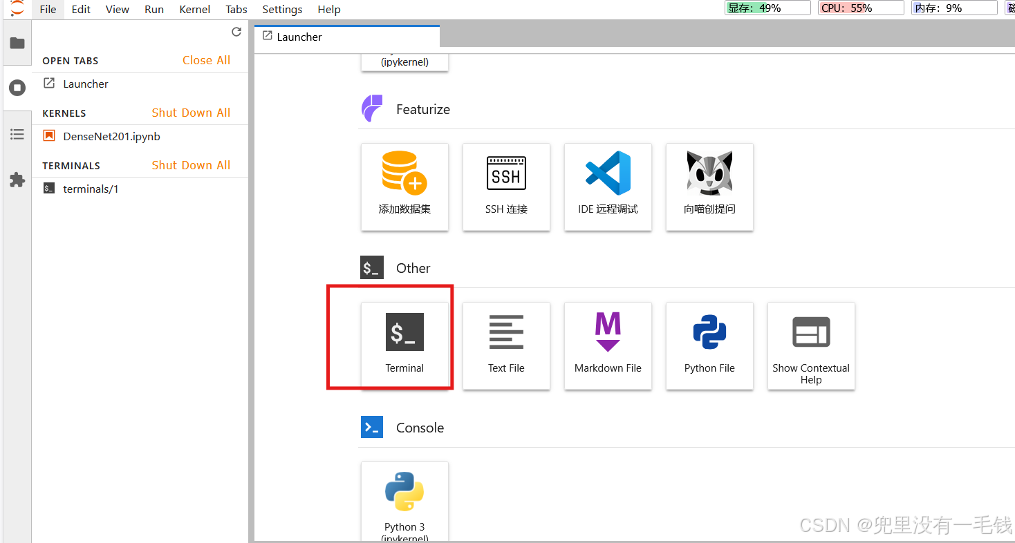 Featurize算力云使用流程（最细的保姆级教程）_GPU_想吃蛋炒饭了-九章云极普惠算力