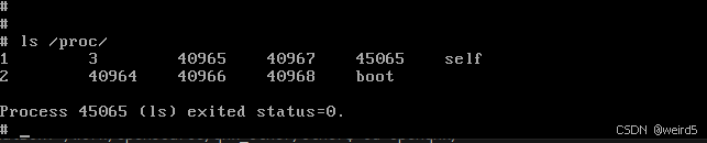 qnx procfs 文件系统概述_qnx文件如何分析-CSDN博客