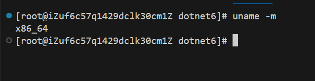 如何在Linux中部署Asp.Net Core Web API应用_netcore linux部署-CSDN博客