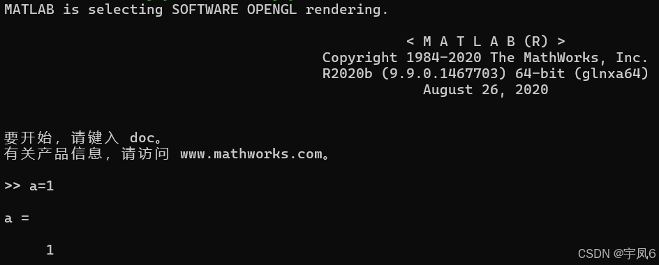 Linux无图形化界面安装matlab(离线)保姆级_linux安装matlab-CSDN博客