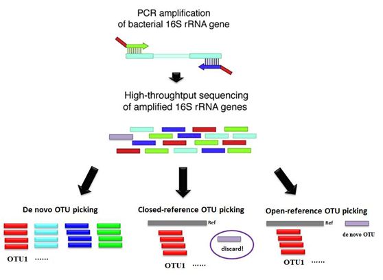 16S&18S_OTU分析（3）_16srrna测序中otu是什么-CSDN博客