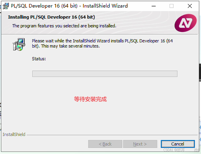 Windows 11 系统 Oracle PLSQL 工具（PL/SQL Developer 最新版本）完整安装与配置教程_plsql安装教程及配置oracle-CSDN博客