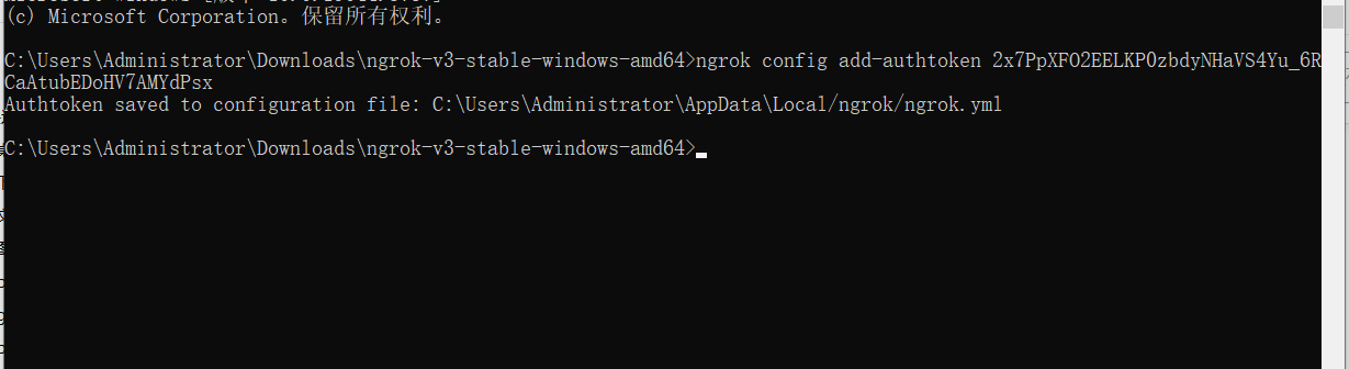 ngrok 内网穿透工具 下载、安装、使用_ngrok下载-CSDN博客