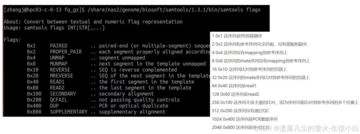 03-转录组上游分析-比对、定量_subjunc 索引构建-CSDN博客