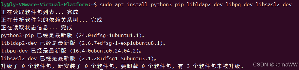 ubuntu24 安装odoo18记录_odoo18安装-CSDN博客